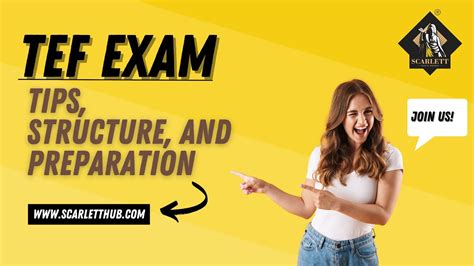 Tef Exam Explained Tips Structure And Preparation French For Immigration Youtube