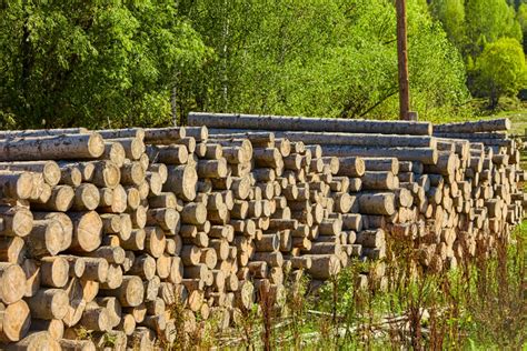 Freeing Supply Chains Progress And Challenges In 2024
