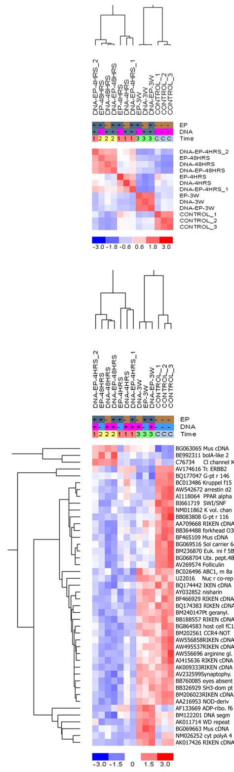 Sample Correlation Matrix And Hierarchical Cluster Analysis Of Gene Download Scientific Diagram