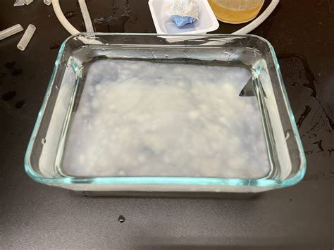 Bacterial Cellulose Mica Biofabrication