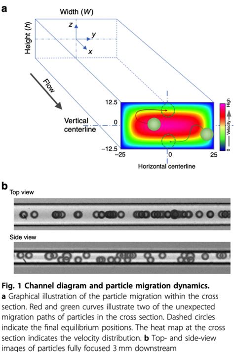 Research Peng Lab University Of Illinois Chicago