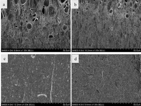 Sem Micrographs Of Plla And Plla Pdla Foams Saturated At 3 5 Mpa And