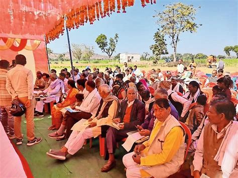 Farmers Should Not Be Limited To Mustard Cultivation Earn More Profit By Setting Up Processing