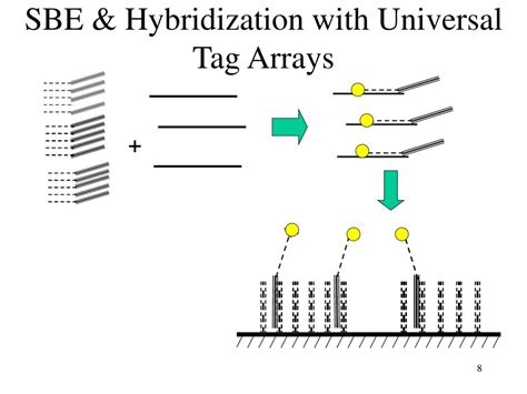 ppt combinatorial optimization methods for reliable genomic based