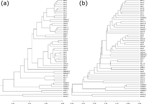 Dendrograms Showing Hierarchical Clustering Of The Sense A And Download Scientific Diagram
