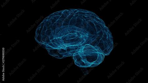 3d Animation Rotating Model Of A Human Brain Innovative Technologies Stock Video Adobe Stock