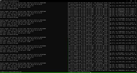 Tcp Packets Only Printing Ack Flags Regardless Of What Flag Maybe Present · Issue 896 · Seladb