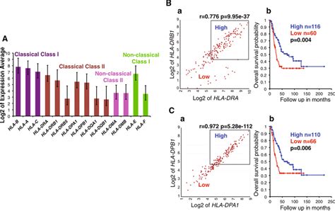 High Level Expression Of Classical Hla Class Ii Genes In High Risk