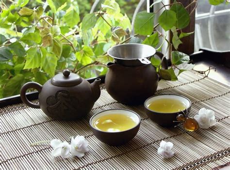 Как правильно пить чай пу-эр | Tea, Tea garden, Green tea