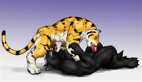 Rule 34 69 Anthro Canine Cum Feline Furry Male Mammal Oral Penis