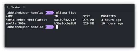 Tuning Local Llms With Rag Using Ollama And Langchain Wiredgorilla