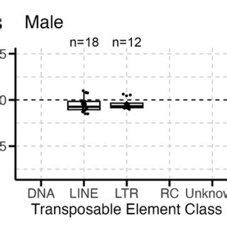 Host Sex Has A Minimal Effect On Transposable Element Activity During