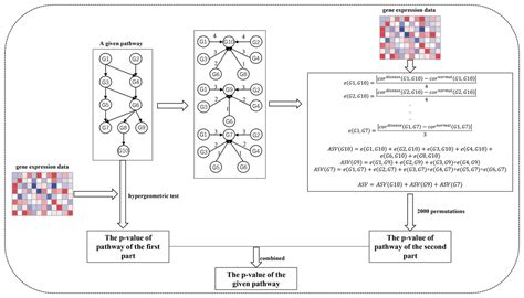 Identifying Disease Associated Signaling Pathways Through A Novel
