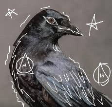 Best 13 Crow Fungi Therian Artofit
