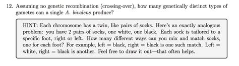 12 Assuming No Genetic Recombination Crossing Over How Many Genetically Distinct Types Of