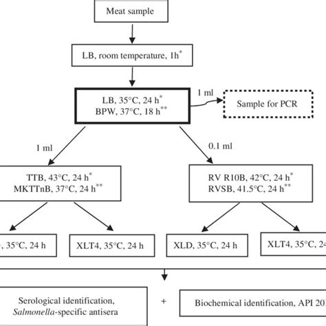 Schematic Outline Of The Fda And Iso Methods Used For Bacteriological Download Scientific