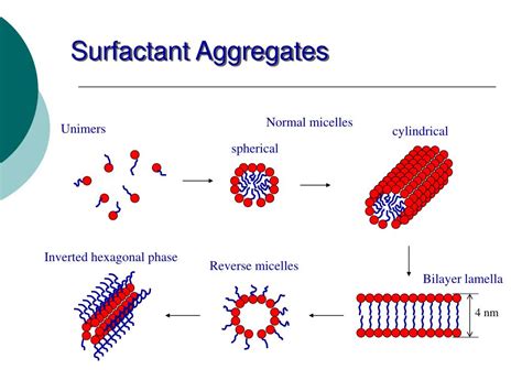 Ppt Surfactants In Solution Powerpoint Presentation Free Download