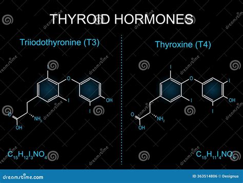 Molecule Thyroxine Molecular Structures Thyroid Hormone 3d Model