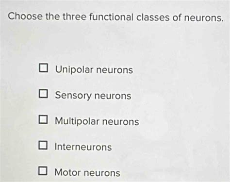 Solved Choose The Three Functional Classes Of Neurons Unipolar