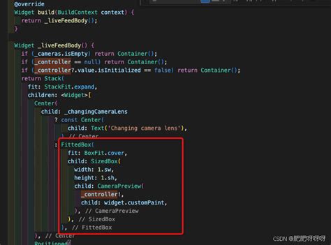 Flutter Camera 插件相机不占满屏幕的问题flutter Camerapreview Csdn博客