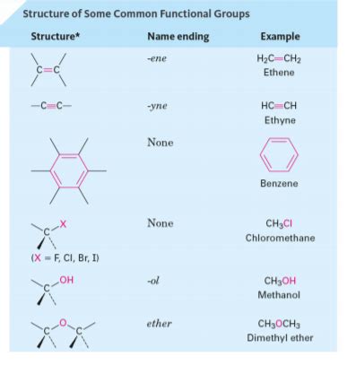 Functional Group 1 Diagram Quizlet