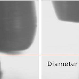 Length And Diameter Algorithms Download Scientific Diagram