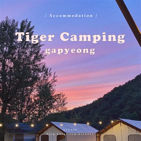 글램핑 리버뷰 호랑이캠핑 가평점” 서울 근교 글램핑 추천 준비물 바베큐 불멍 네이버 블로그