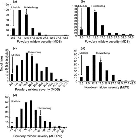Molecular Mapping Of Quantitative Trait Loci For Adult Plant Resistance To Powdery Mildew In