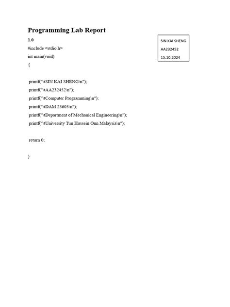 Programming Lab Report Pdf