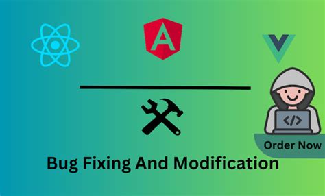 Be Your Frontend Bug Fixereditor For Reactangular Vue Or Next Applications By Hassamali797