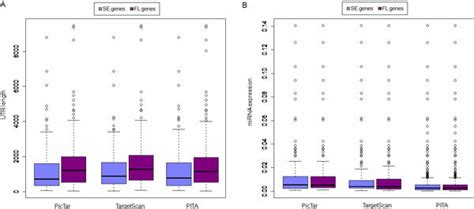 Utr Length Of Mirna Targets And Expression Intensity Of Mirnas That