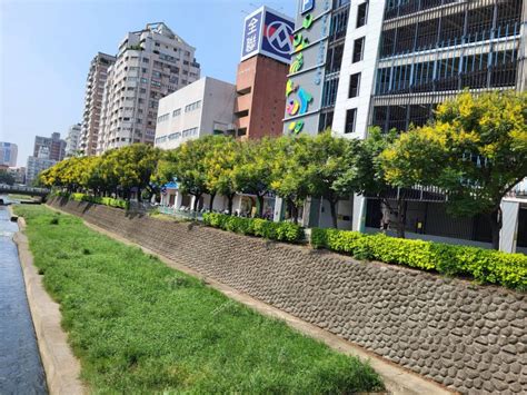 台中市府制訂公園內植栽及行道樹修剪作業規範 中華日報中華新聞雲