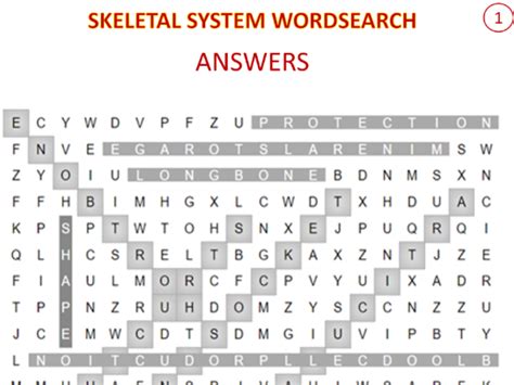 Aqa Gcse Pe Musculoskeletal Wordsearchs Teaching Resources