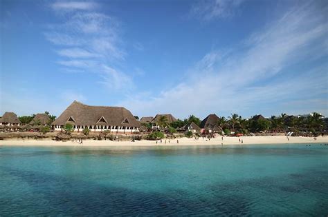 아빠와 함께 떠난 탄자니아 4k급으로 보는 사파리 투어 브릭스