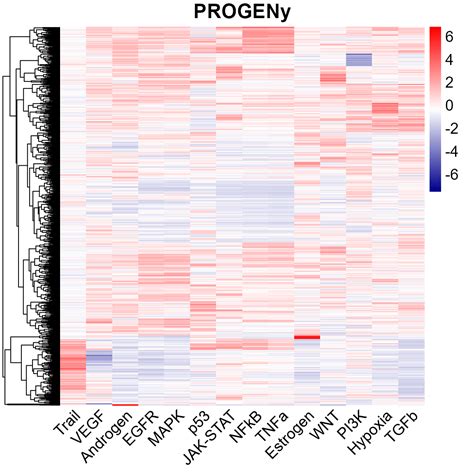 Progeny Pathway Signatures Application To Bulk Transcriptomics • Progeny