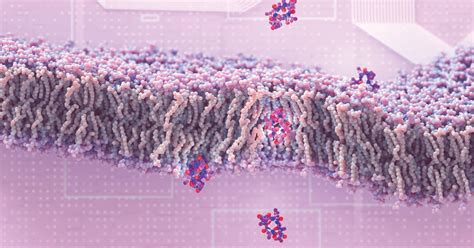 Vilya Designs New Macrocyclic Peptides