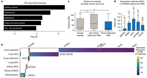 Nature 大规模分析癌症基因组中的重复序列扩增 企业官网