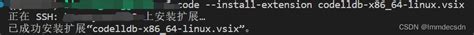 linux 上 vs code 离线安装 codelldb 包 codelldb linux x64 vsix csdn博客