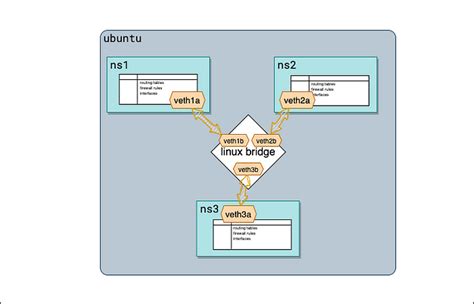 Learn Linux Bridge With Graphs Csdn博客