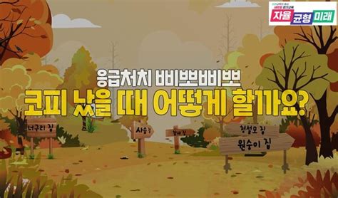 경기도교육청 유치원 안전교육 콘텐츠 개발·보급