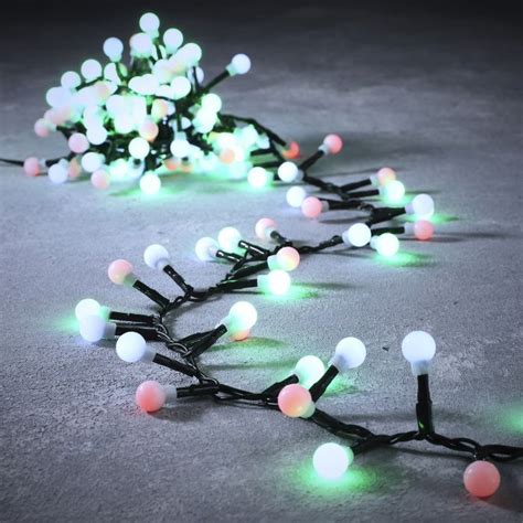 550 Led Cherry Lights Electric Christmas Lights Drinagh Garden Centre
