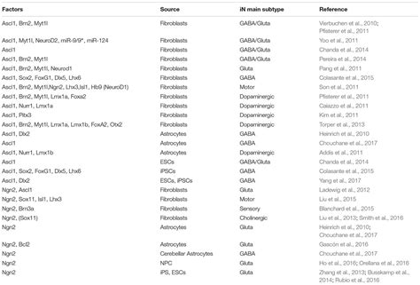 Frontiers Direct Neuronal Reprogramming Reveals Unknown Functions For Known Transcription