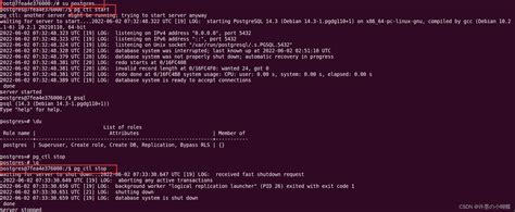 Docker Postgres 如何登录后运行？ Docker Exec It ＜id＞ Bash Su Postgres Pgctl