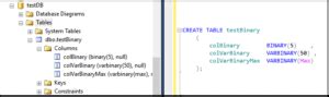 Binary And VarBinary Data Types In SQL Server Tektutorialshub