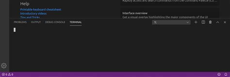 python terminal in vscode showing blank screen in ubuntu 18 stack