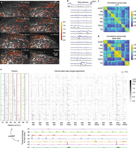 Inference Of Spiking Activity With Cascade From Population Calcium
