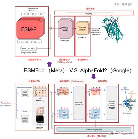 Meta赶超alphafold 60倍，比预测速度更重要的是什么？ 知乎