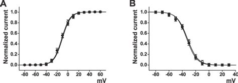 Influence Of Nnc 55 0396 On Steady State Activation And Inactivation Download Scientific