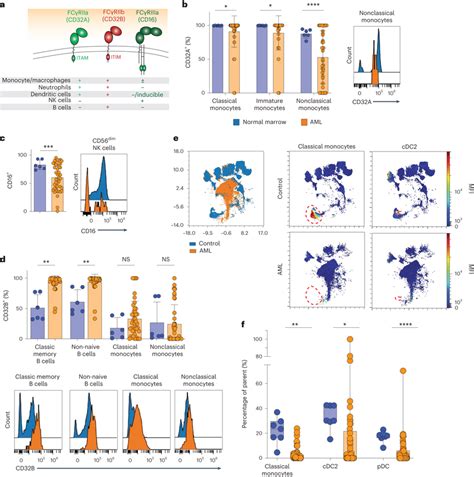 Alterations In Frequencies And Distribution Of Fc Receptor Expression Download Scientific