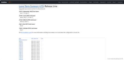 jenkins 的安装 详细教程 jenkins安装教程 csdn博客
